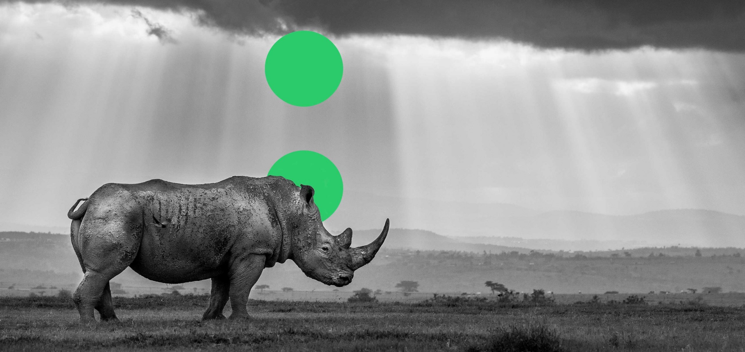 Re:wild | Tank Design